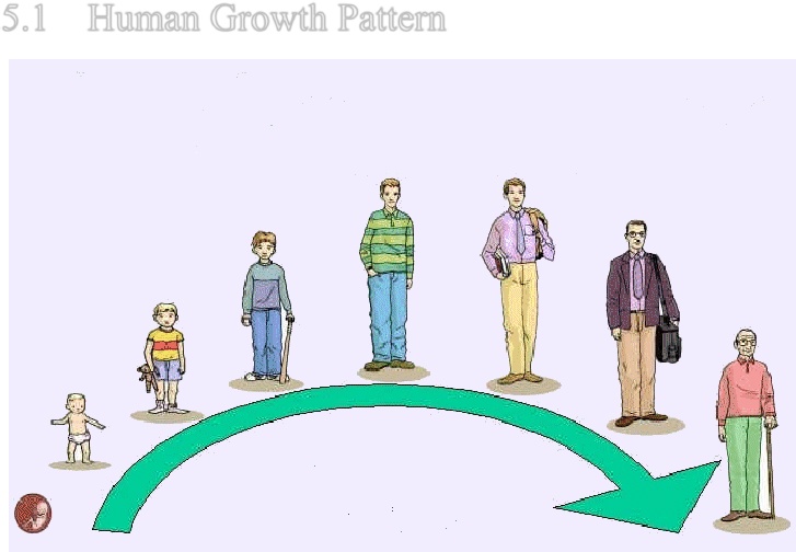 MY INSPIRATION.....: Growth