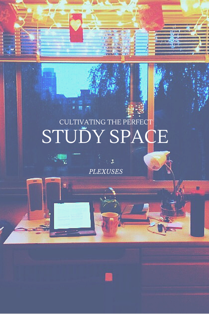 plexuses: Cultivating the Perfect Study Space