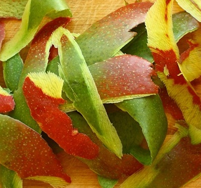 MANGO TREES: Utilization of mango peel