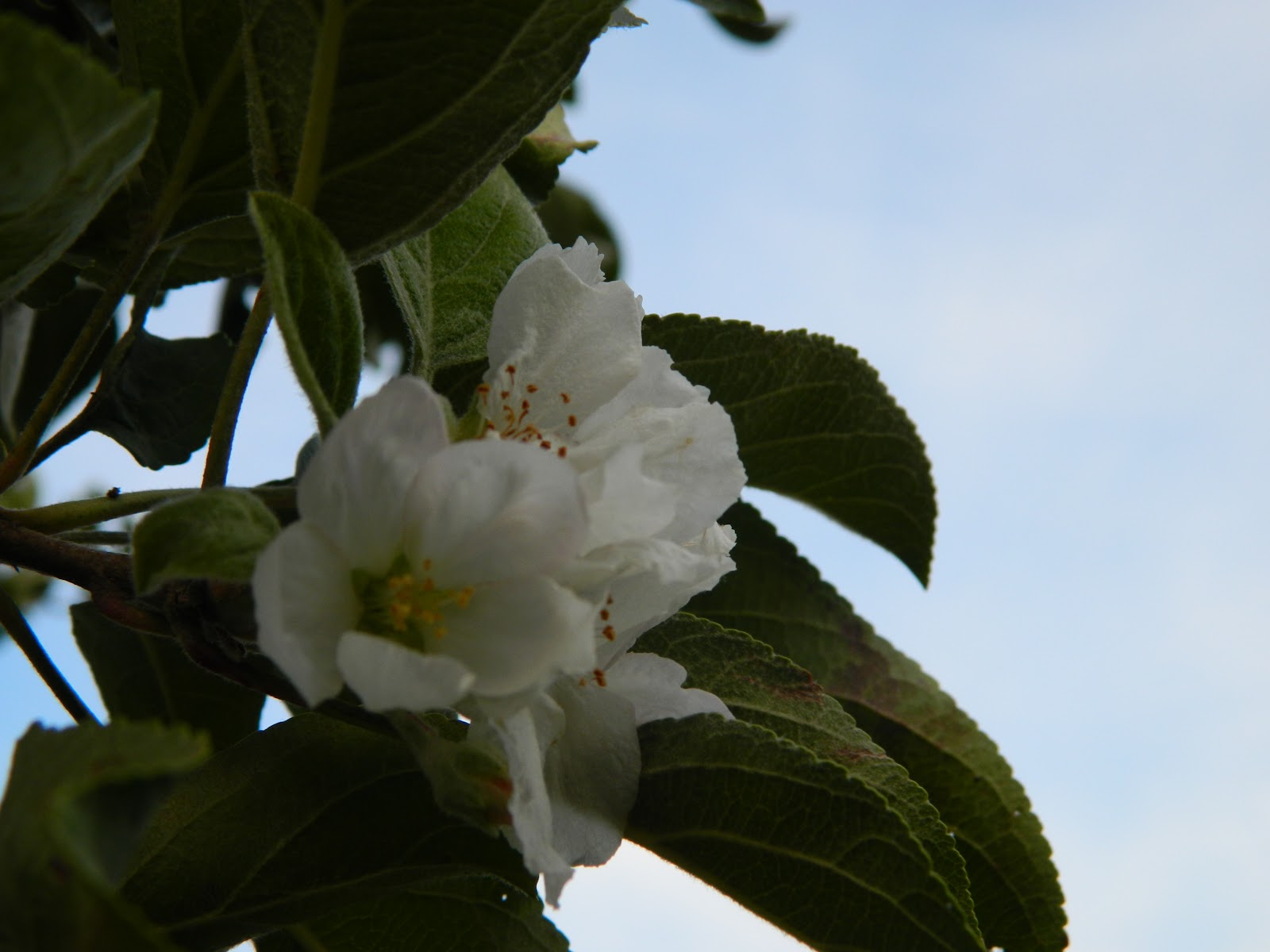 De vorba cu mine însumi: 01.08.2018 - 01.09.2018