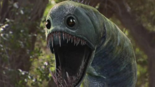 30 Filmes de Terror Sobre Ataques de Animais | Nascida em Versos