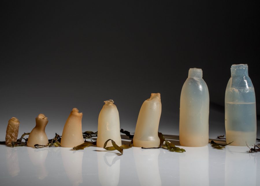 ANGEL MAURICIO RIVAS FUNES: Botella biodegradable comestible