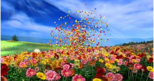 Din Universul Meu: VÂNTUL MĂ COLINDĂ