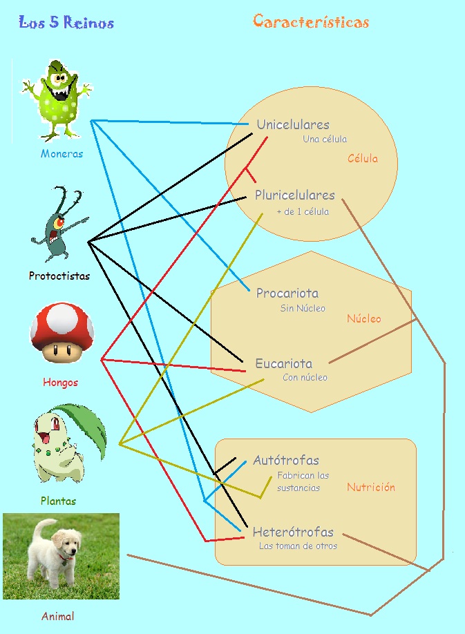 Naturales: Los cinco reinos.
