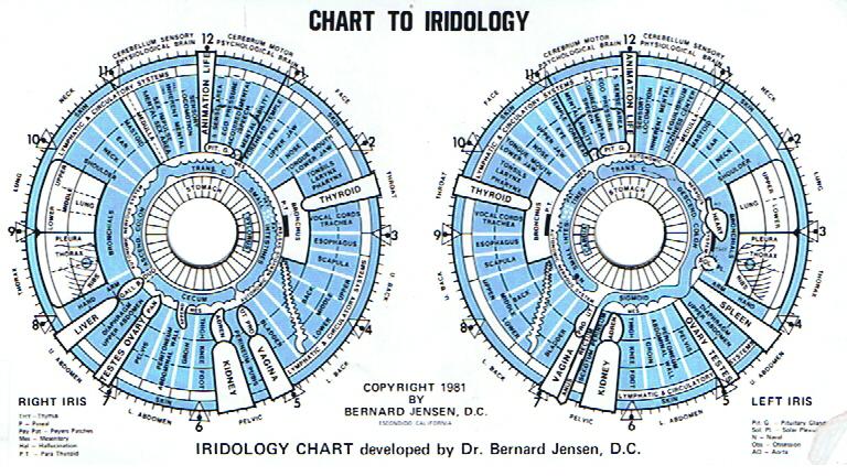 NATUROPATIA DIGITAL: Bernard Jensen (1908 - 2001), teórico y práctico ...