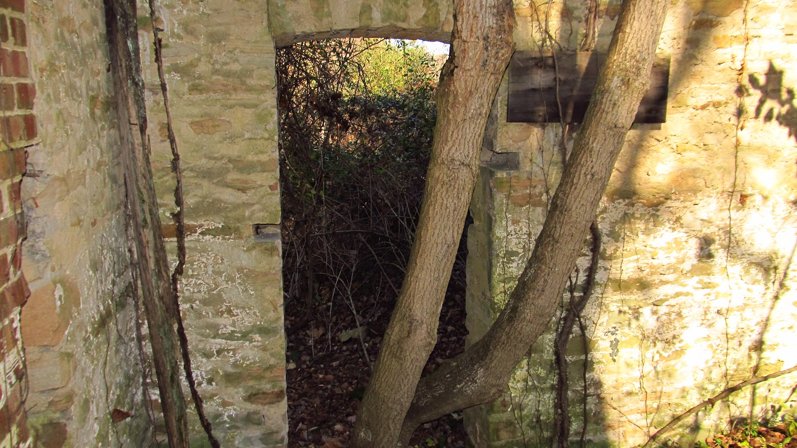 Old Industry of Southwestern Pennsylvania : Orient Mine and Coke Works