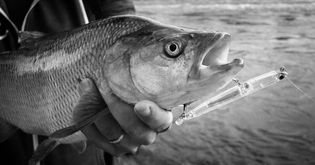 Fishing In Croatia (and in the neighbourhood): Duo Lures Bay Ruf Manic ...