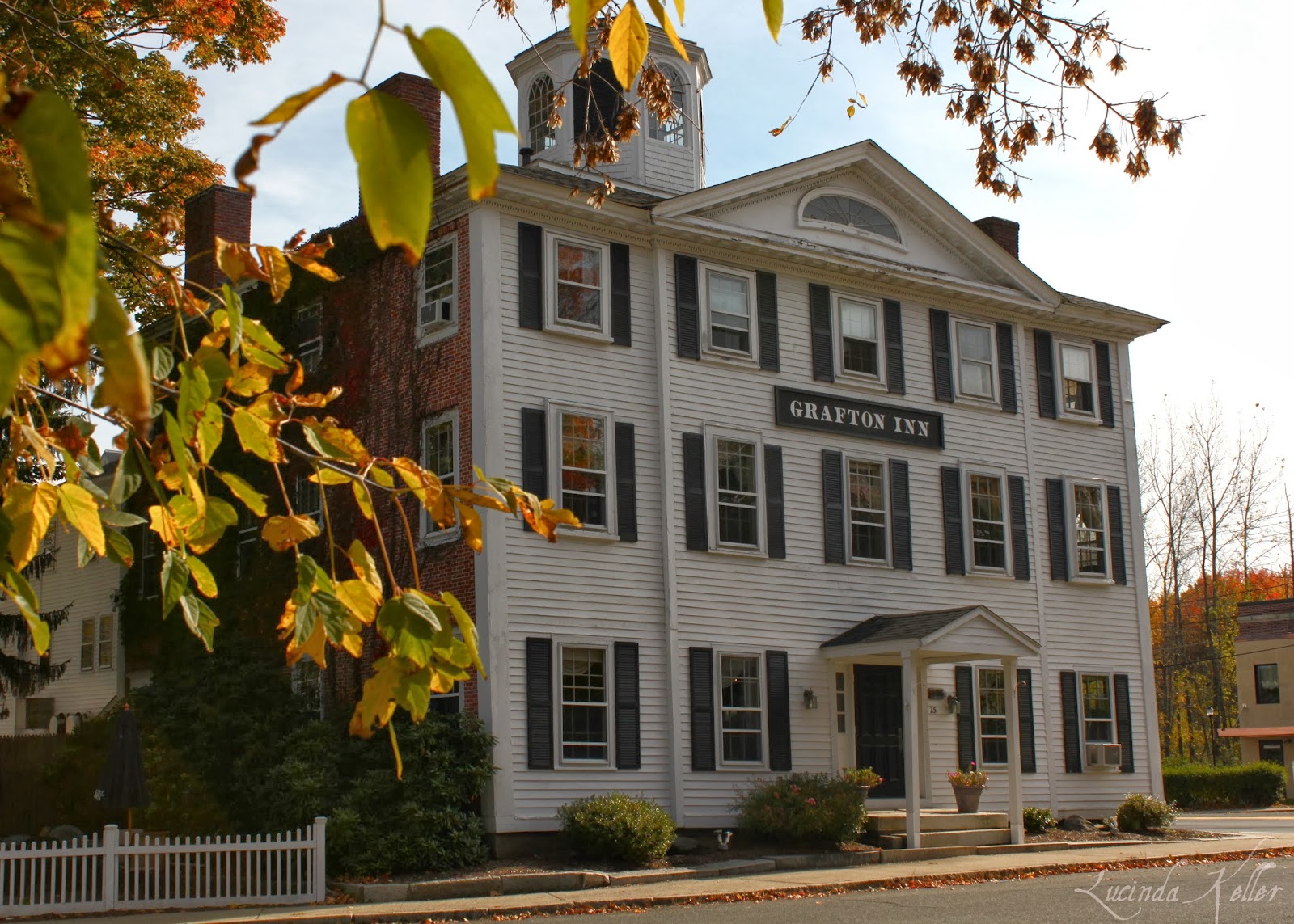 Cobalt Violet: From NY to New England!