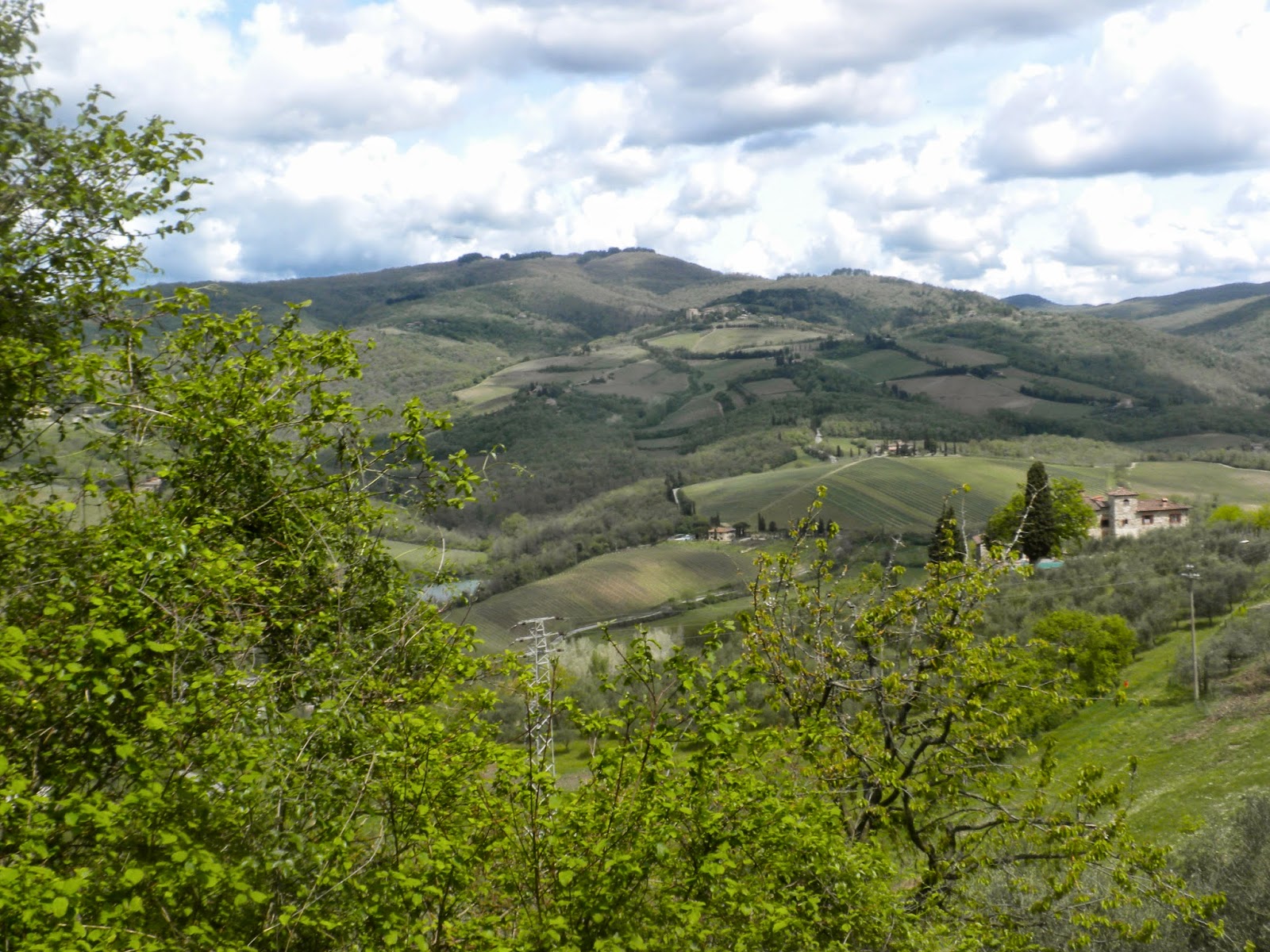 From a Tuscan Hillside: Walking from Radda to Volpaia