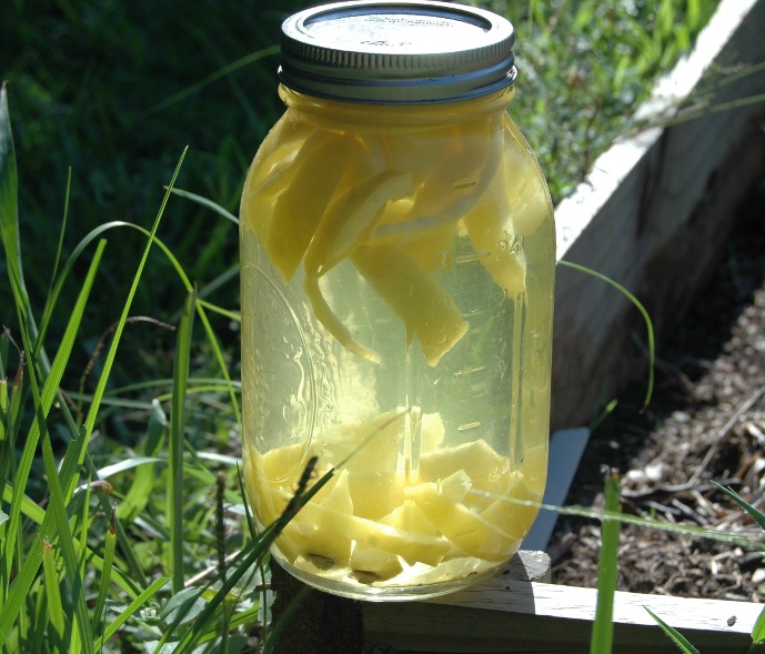 Speckled Lemon: Citrus All-Purpose Spray Recipe