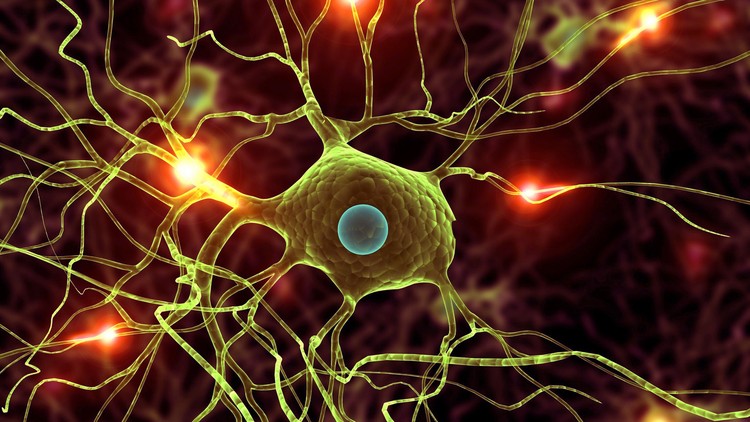 Modern Deep Learning In Python