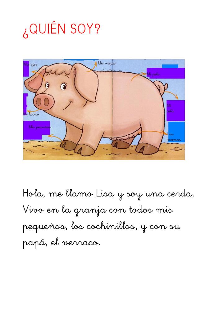 RECURSOS y ACTIVIDADES para Educación Infantil: Libro del CERDO