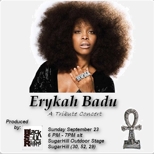 PRESS RELEASE: Black Soul Rhythms Radio Soul Music Festival ~ The SL ...