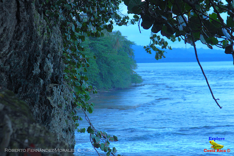 Playa Cocles de Limón | Explore Costa Rica