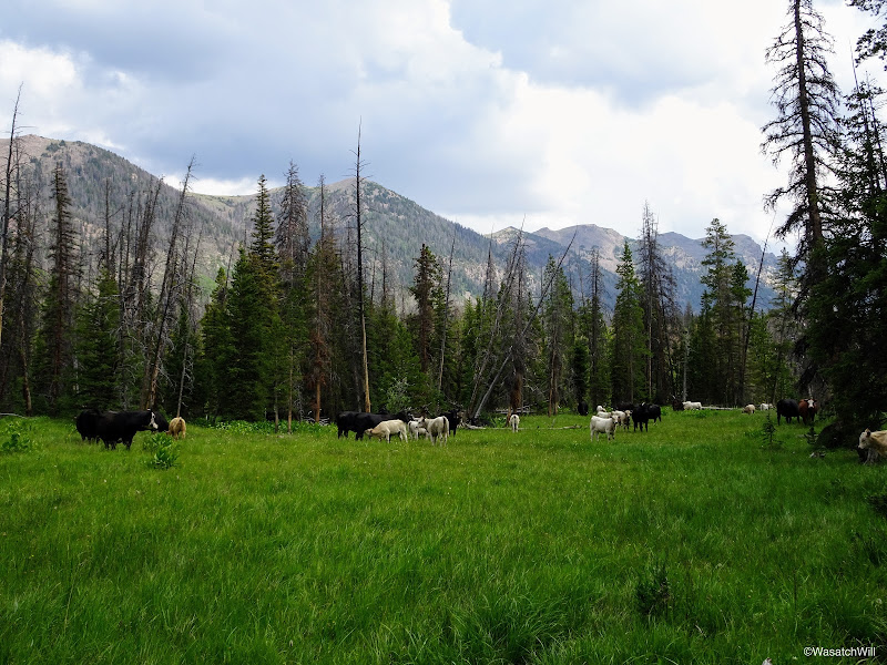 Allsop Lake or 'All Slop' Lake? A weekend well spent. | Backcountry Post