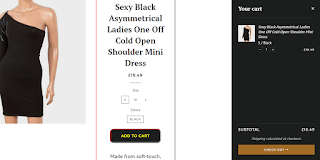 Sebix Clothing Review — Lauren Ann