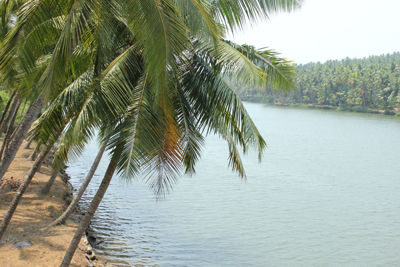Kerala Hills: Vayalada - Balussery, Kozhikode