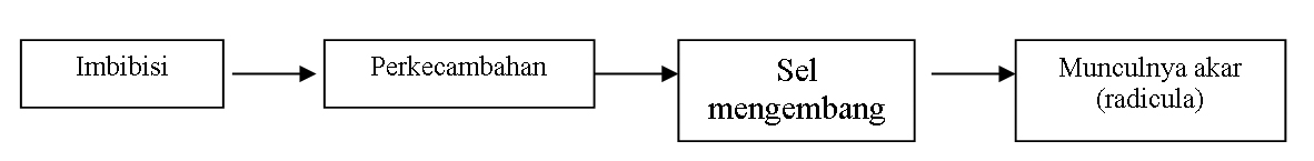 Mekanisme Imbibisi dan Perkecambahan Pada Tumbuhan - Biologizone