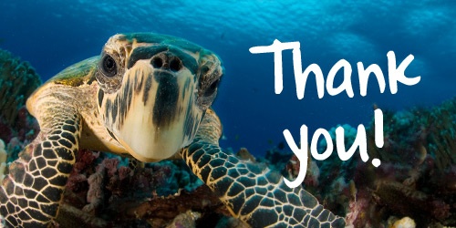 Connect2Conserve: Turtle Con-What? It's Called Turtle Conservation!