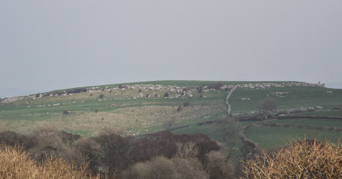 Furness Hidden Heritage: A Hill Fort and Farmsteads, Neolithic to Iron ...