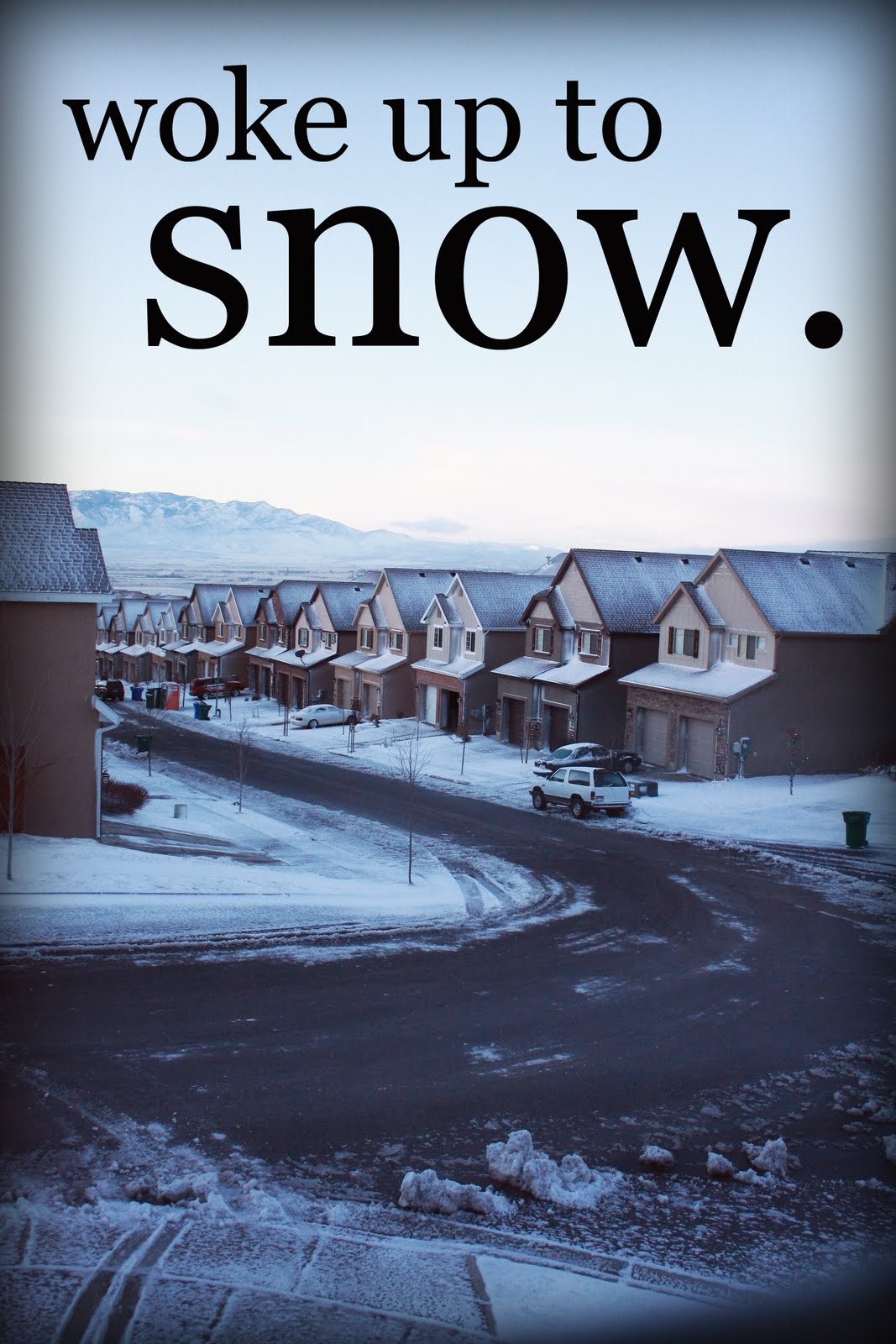 little momma and company: snow, snow, friend or foe?