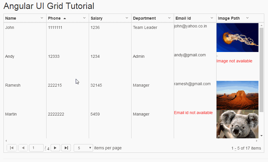 How To Implement Pagination And Sorting With Angular Ui Grid In Mvc Application Aspmantra