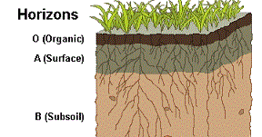 Topsoil for Dummies | The Antisocial Network
