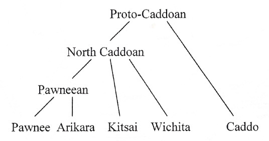 Gesta Septentrionalis: The Pawnee-Arikara Clade