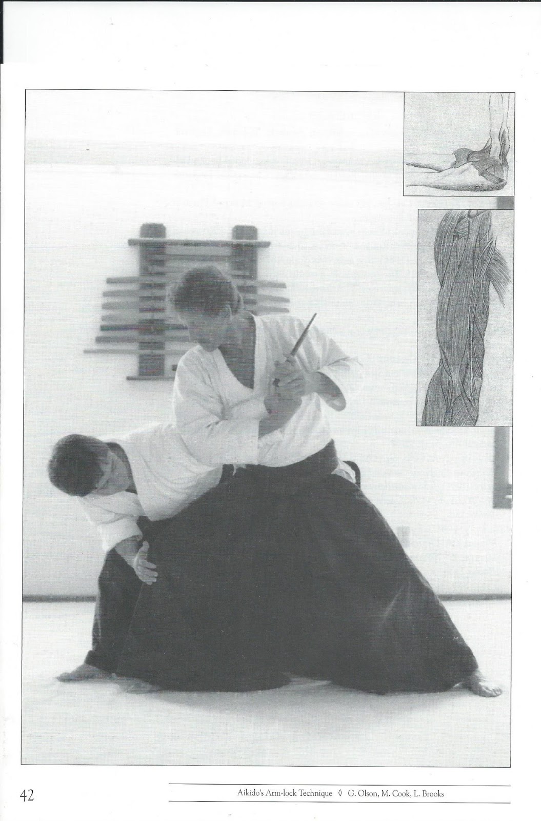 Isshin - Concentration the Art: Aikido's Arm Lock