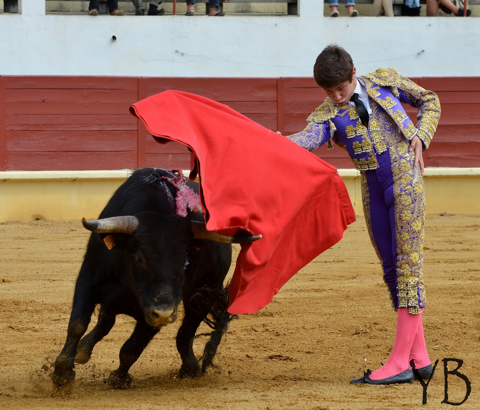 Bienvenue sur Yann BRIDONNEAU photographies.: NOVILLADA DE MALABAT A ...