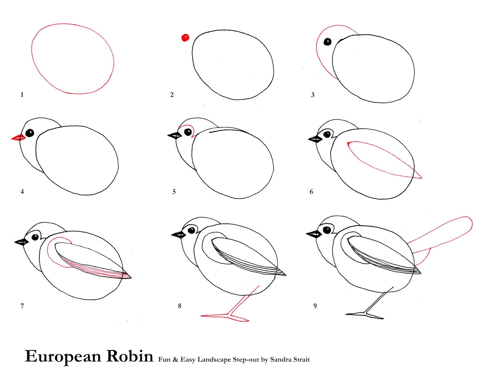 Draw Robin Step By Step