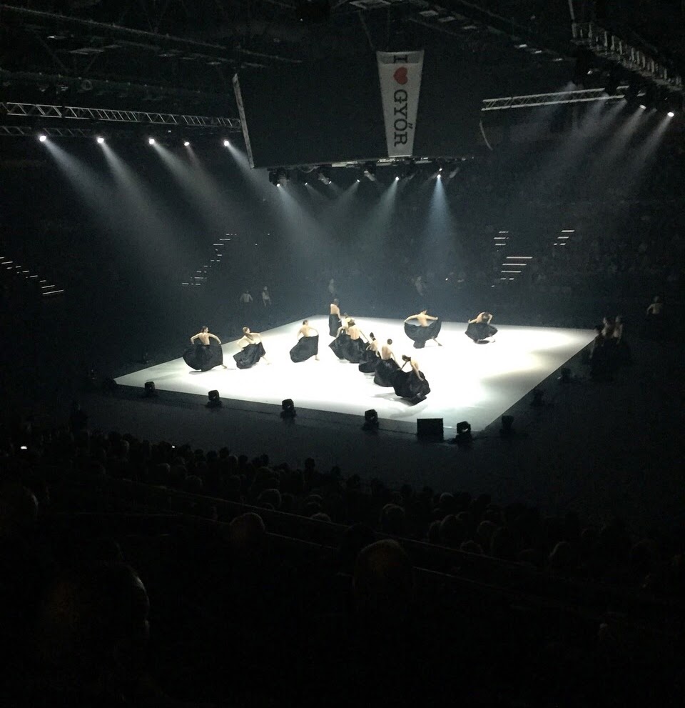 EL NUEVO ARENA DE GYÖR – Deporte Cien Por Cien