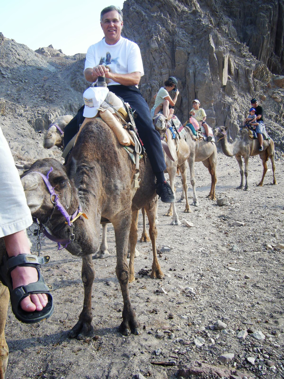 Love For His People: Camel. Ride. Negev Desert in Israel.