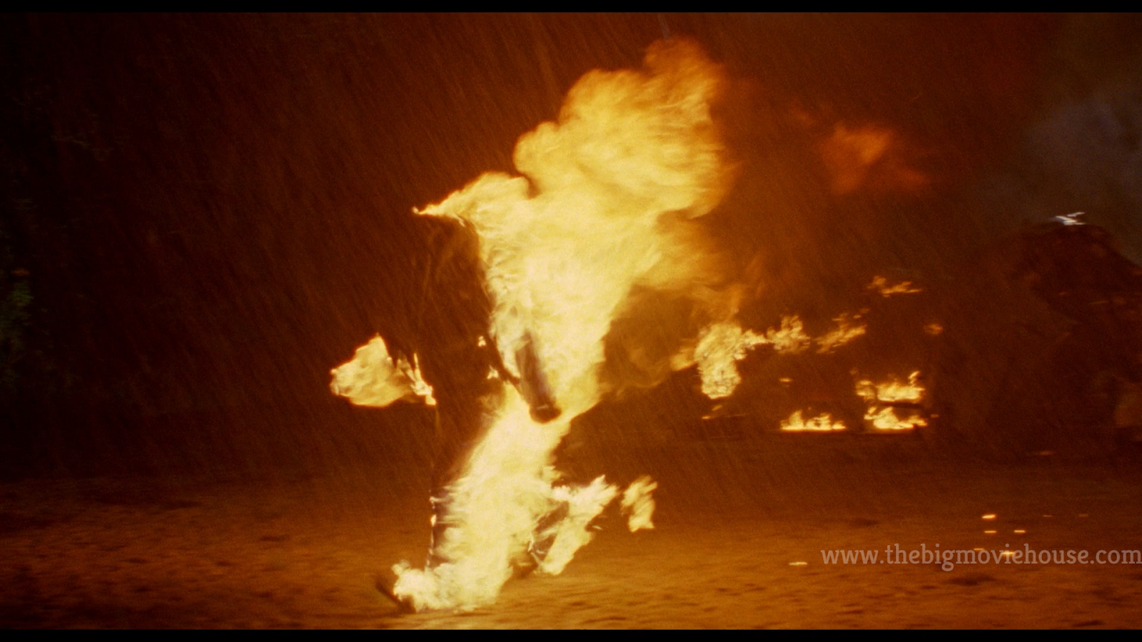 The Return of Swamp Thing (MVD Rewind Collection) Blu-ray Review ...