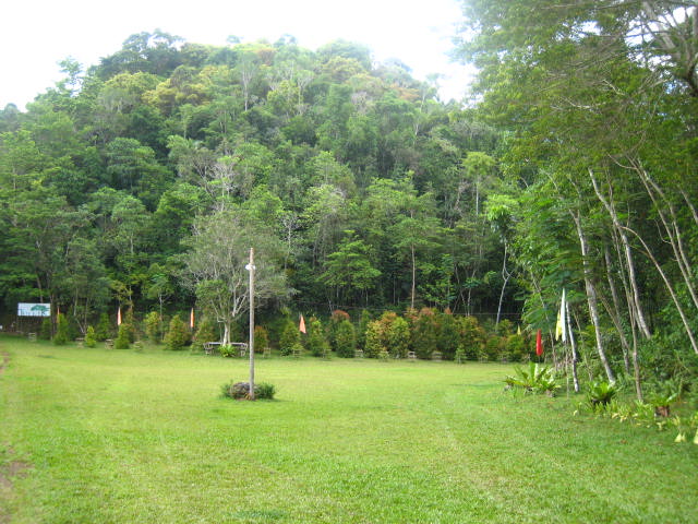Bohol: Sikatuna Tree Park, Bohol