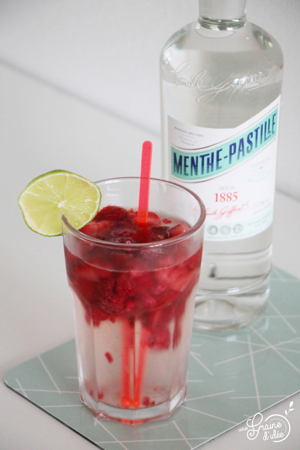 Aloel Pastille et Fruits Rouges | Une Graine d'Idée