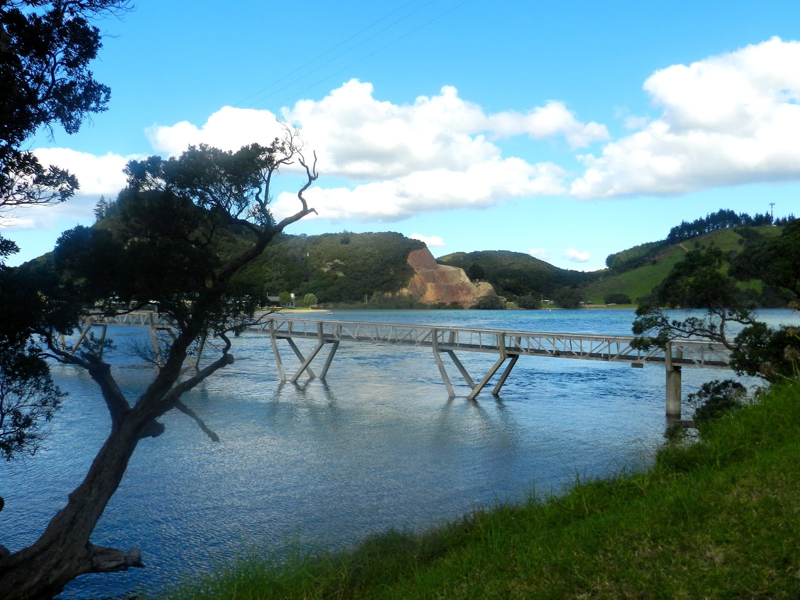 The Paddock: Pataua south