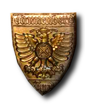 The Occult History of the Third Reich: Ariosophy and the Runes