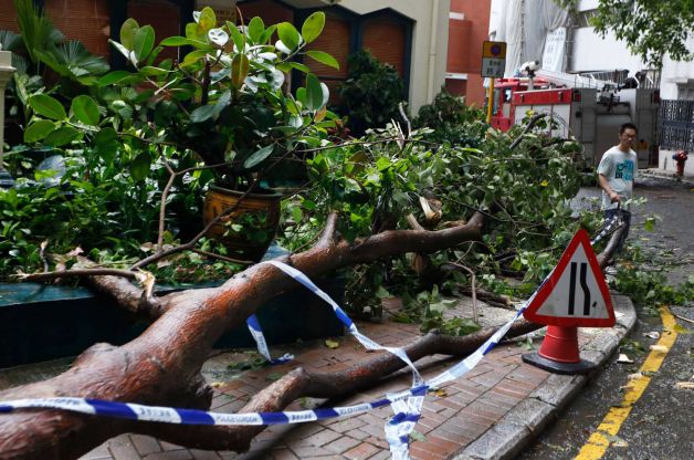 Huge in Hong Kong: Terrifying Typhoon