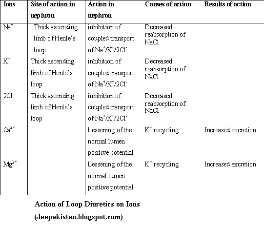Your Source of Information: Loop diuretics