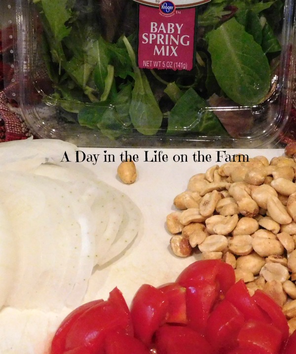 A Day in the Life on the Farm: Ifisashi (Zambian Peanut Stew) #CooktheBooks