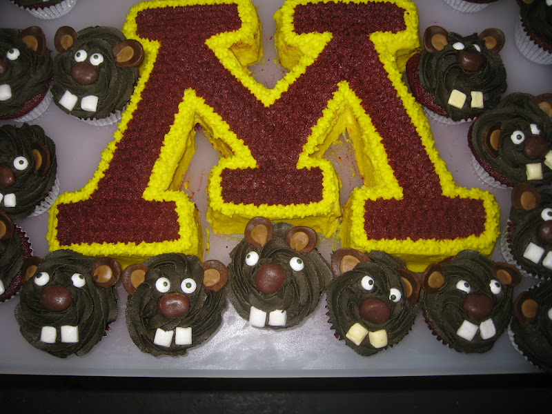 Mo in Oz: Minnesota - final blog