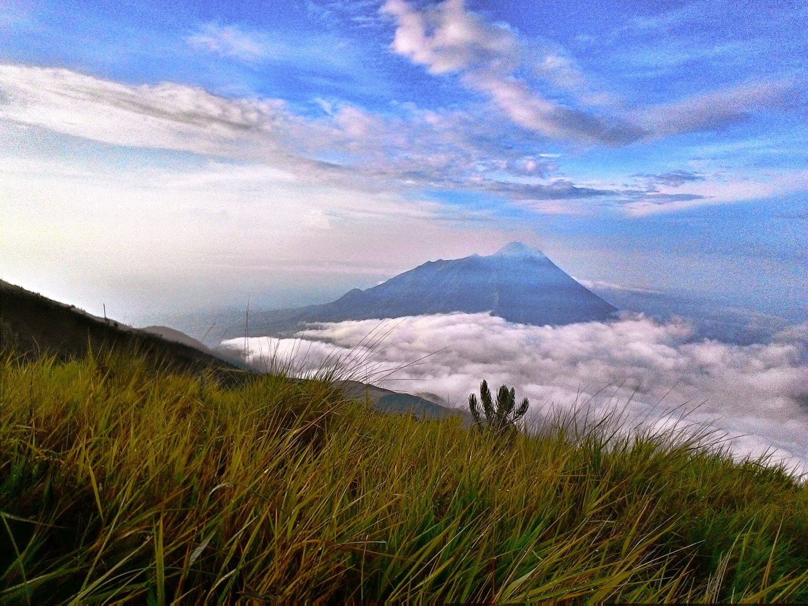 Keindahan Sabana Gunung Merbabu Via Suwanting ~ Wisata