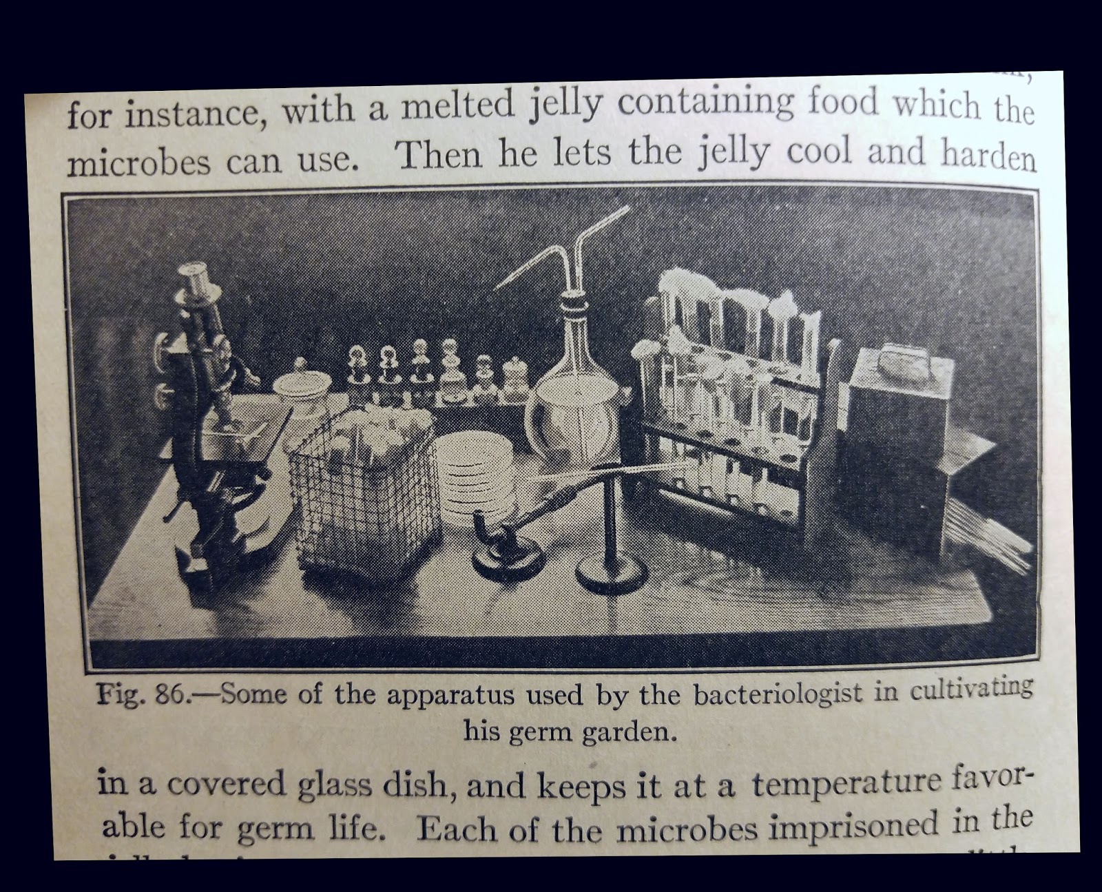 Honey Grove and Beyond: Photomyne as a Downsizing Tool