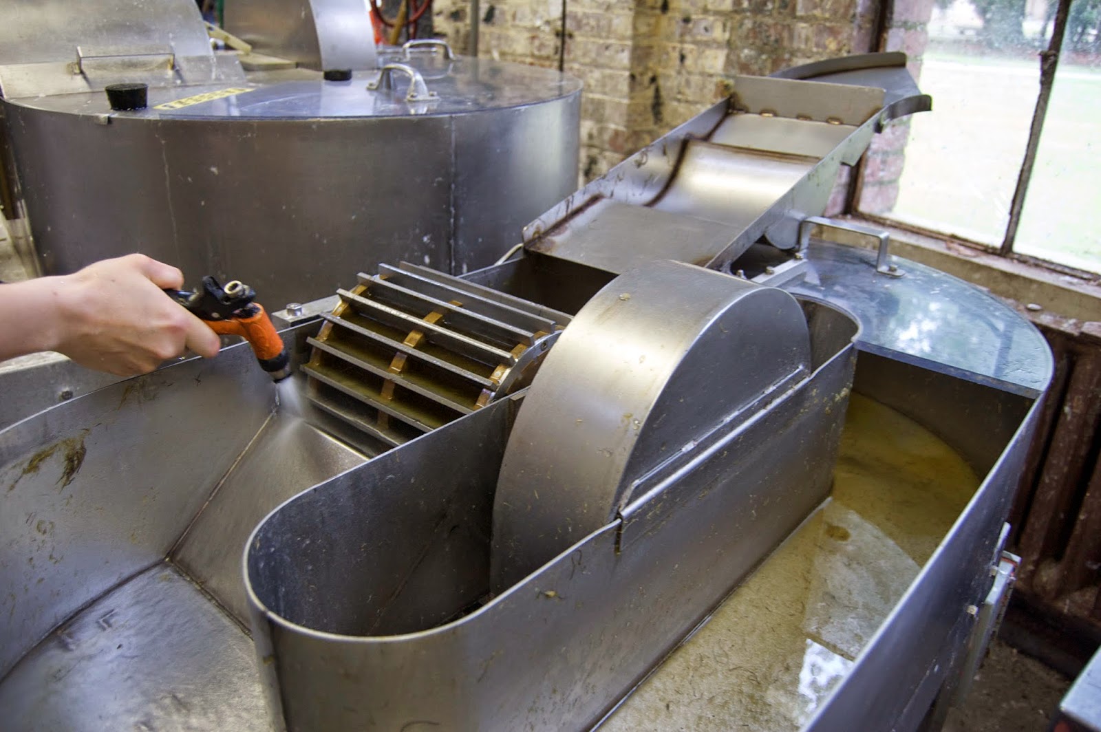 Draw what you see: I'm making spanish moss paper... from moss.