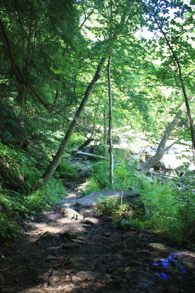 McConnell's Mill State Park