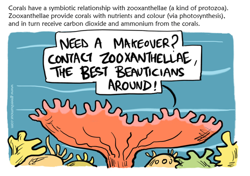 Green Humour: Corals in Cartoons