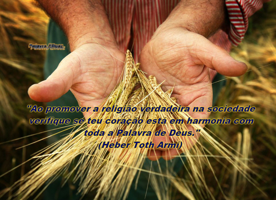 Palavra e Ação : Lições de Vida