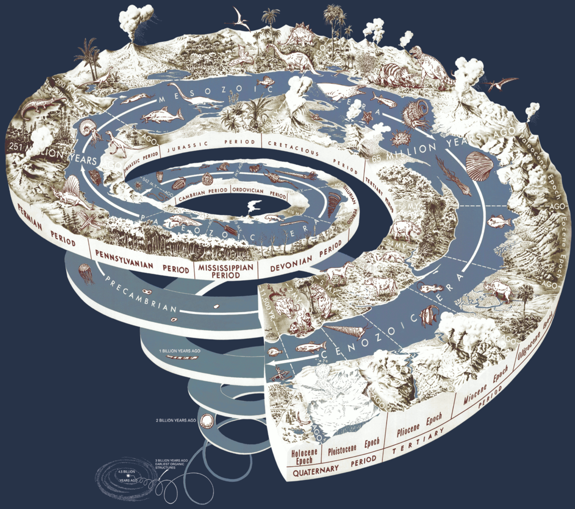 Mark Masulis Biology Blog: Geological Timeline Reflection