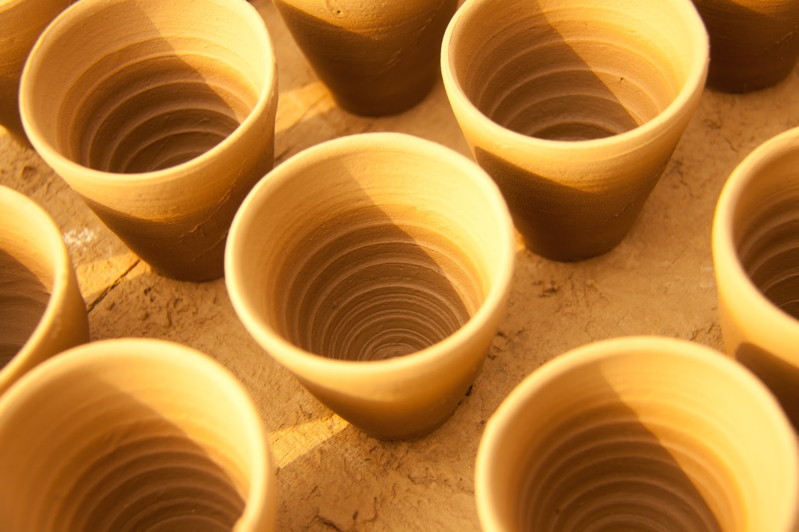 Soaring Seagull: March 2013